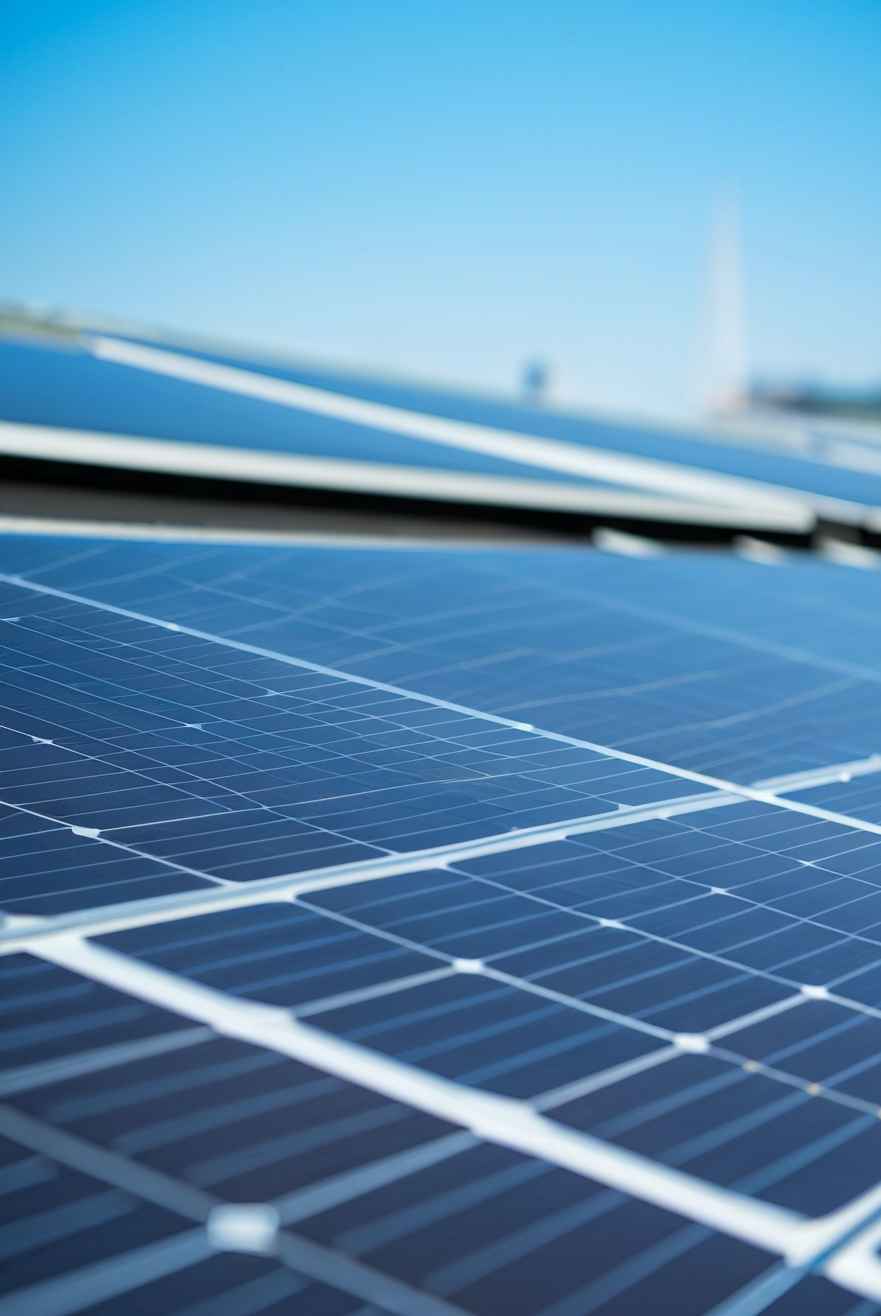 Novus Renewables